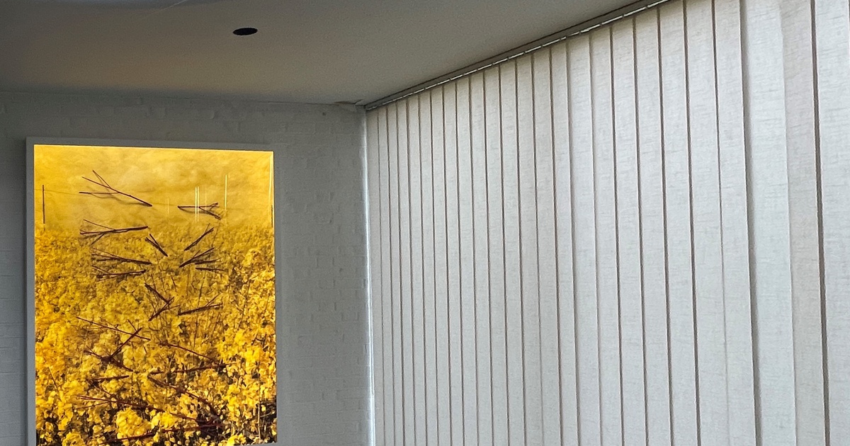Jane And Louise Wilson - Exhibitions | THE HYMAN COLLECTION