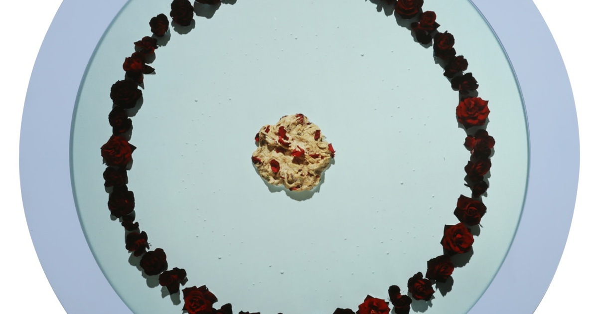 A Major Work by Helen Chadwick | THE HYMAN COLLECTION