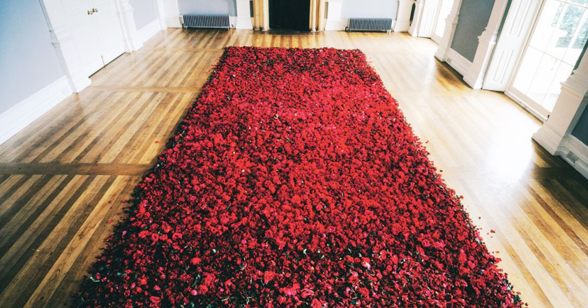 New Acquisition: Anya Gallaccio's celebrated installation Red on Green ...